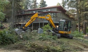 Land Clearing & Tree Work: Access Paths That Don’t Chew Up Lawns - BAM!